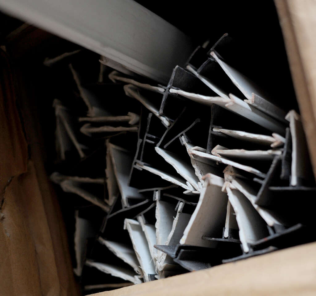 Zip Strip - Bear Rental